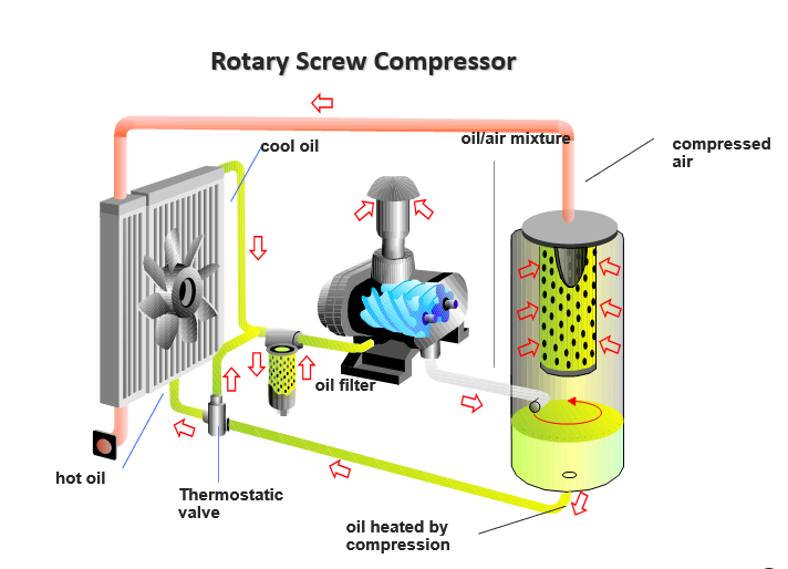 Rotary Screw Air Compressors working principle | Knowledge Hub