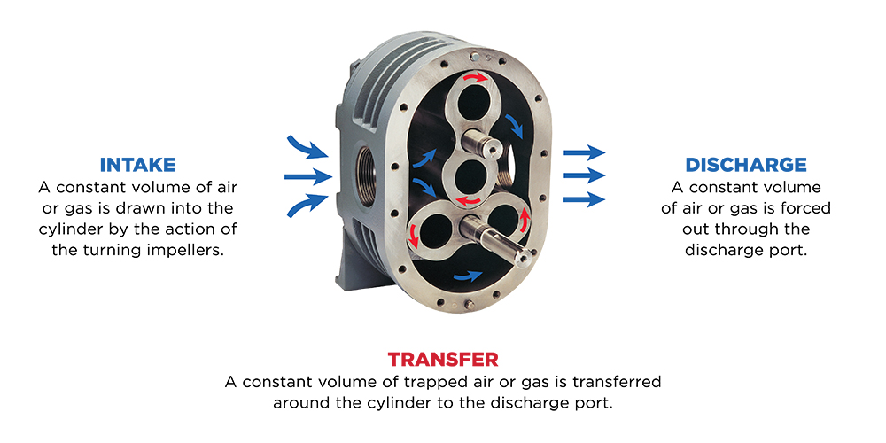 Rotary Lobe Blowers Working Principle